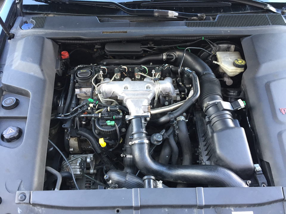 Peugeot/Citroen 2.2 HDI-Motor (DW12) - Motor Inspektion