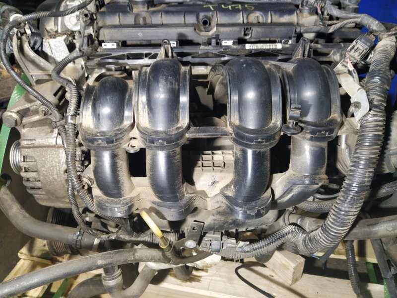 Ford Duratec Ti-VCT 16V Sigma 1,6 105 PS Motor - Motor Inspektion